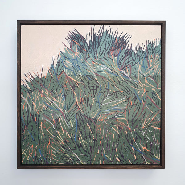 Floodplain Thicket | Boom Gallery