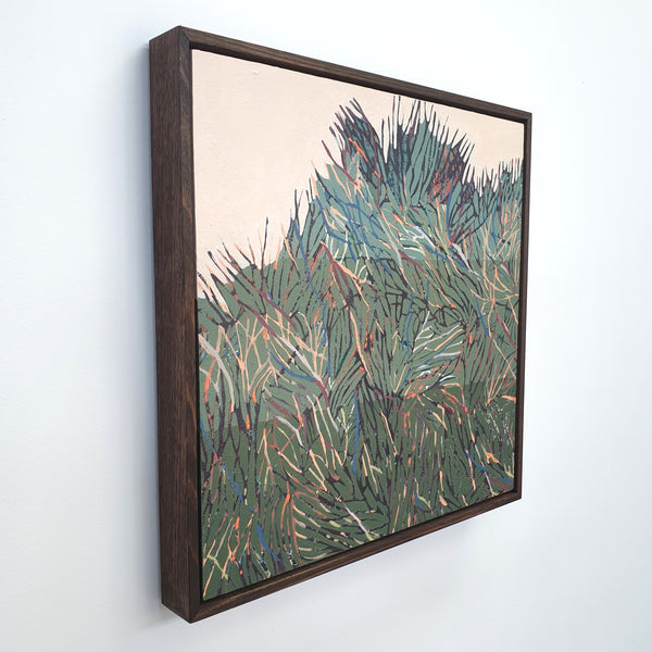 Floodplain Thicket | Boom Gallery