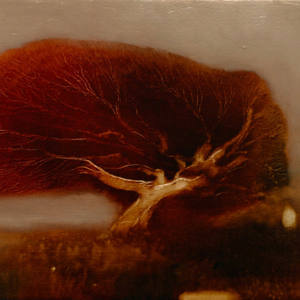 Graeme Altmann, 'Moonah'