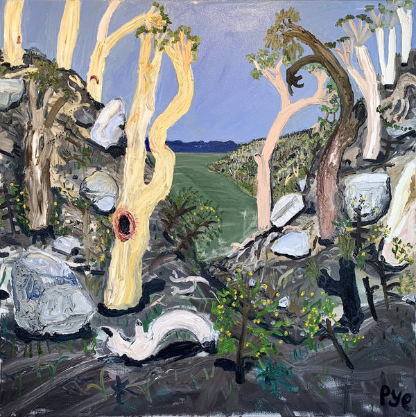 Andy Pye | Boom Gallery