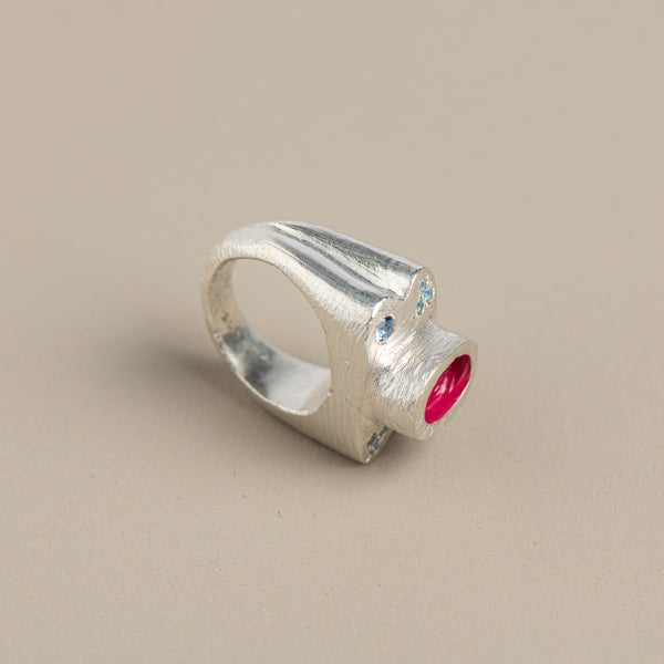 Bling Ring Gone Wrong | Boom Gallery