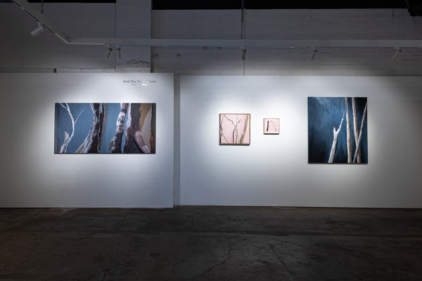 Worth Protecting | Boom Gallery