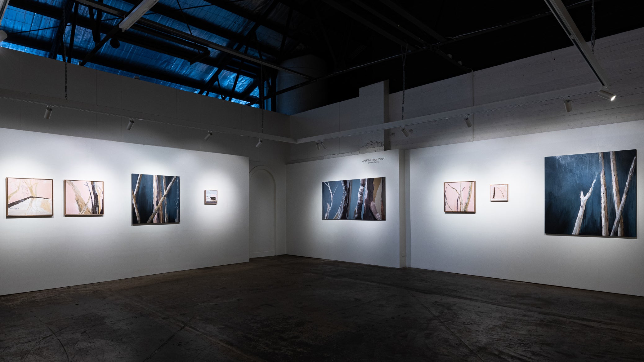 Boom Gallery: Art Shop in Newtown, near Geelong & Melbourne, VIC