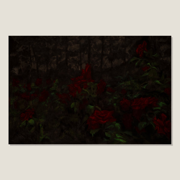 And The Past With Its Savage Undertow Lets Go | Boom Gallery