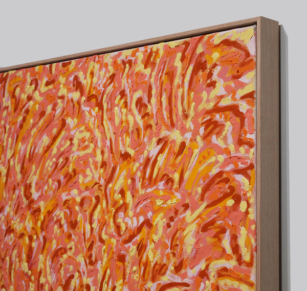 Beyond The Fetch | Boom Gallery