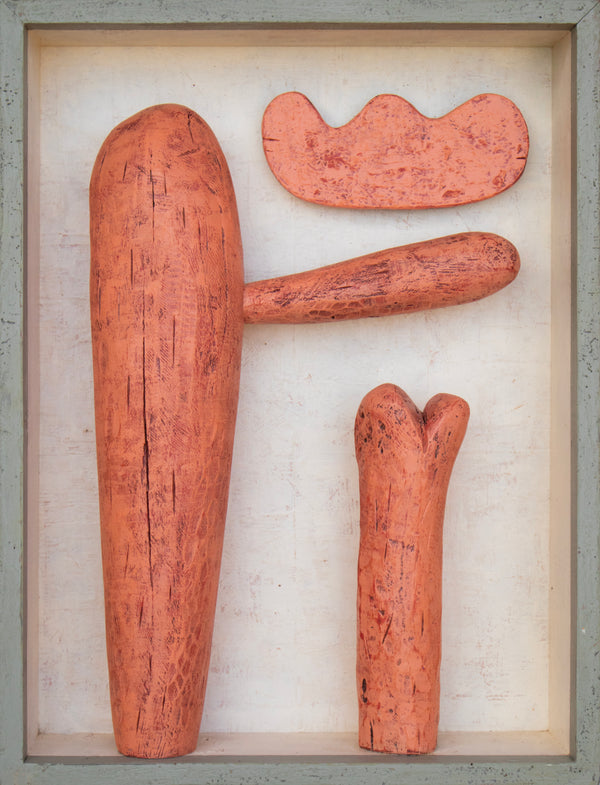 Ancient Fossils | Boom Gallery