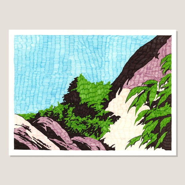 Bushes | Boom Gallery