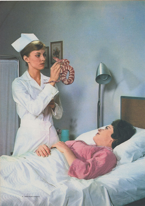 'Snake Oil' by Kieran Madden For Sale - Boom Gallery